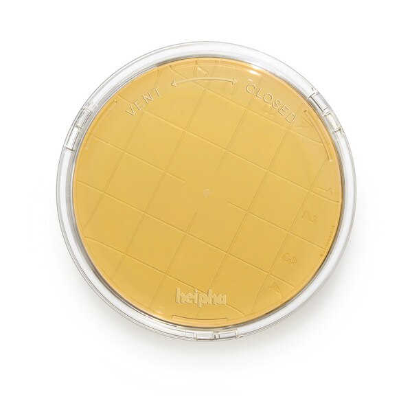 TSA with LTHThio cont.-ICR+ - Gamma-irradiated, triple-bagged ICR ...